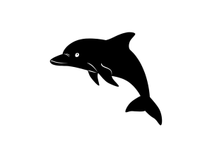 Personality and Sleep Chronotypes: Bear, Wolf, Lion, Dolphin